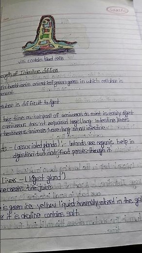 class 10 science chapter 5 notes 📚