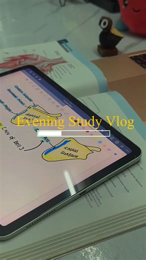🦉night owl🩺 | Evening study vlog