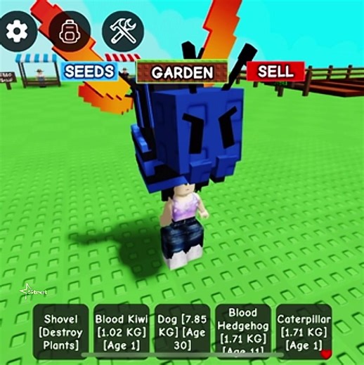 Exploring the Tarantula Hawk: Nature's Intriguing Insect