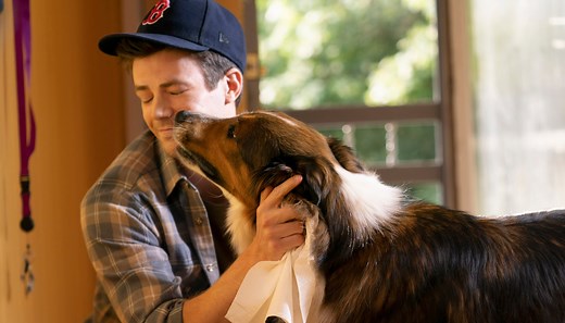Grant Gustin stars in Rescued By Ruby, a new movie about the power of a dog's love. Premieres March 17. | Netflix