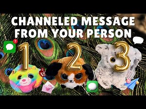Channeled Message From Your Person In-Depth Reading Pick A Card
