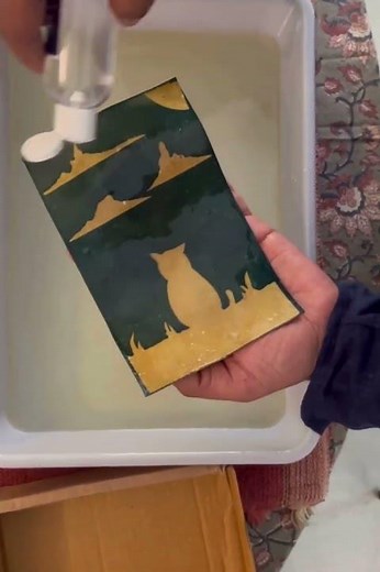 Art Meets Science: DIY Solar Printing Cyanotype Kit | Sun Prints | Creative Crafting | Kitsters