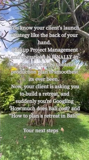 You know your client’s launch strategy like the back of your hand