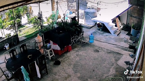 yo cuando mi hermana me dice que su vato se le puso pesado en corto le caigo al chante#comandoexclusivo #bienvergaselperro #andocomoquieroydondequiero #sangreazuldecorazon💙🇲🇽💪💙