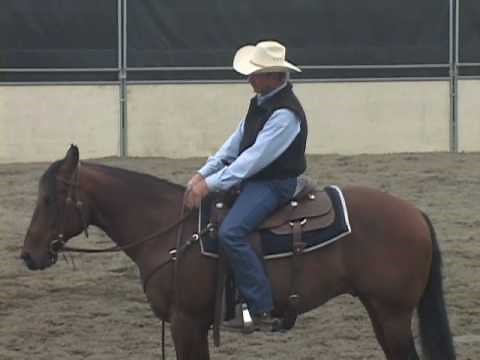 Horse Training for the Stop & Back Up - Basic training to sliding stops for reining & cutting.
