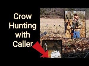 Crow hunting with (FoxPro Caller)