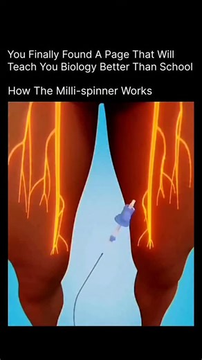 BIOLOGY | MEDICAL | HEALTH on Instagram: "A milli-spinner works using micro-mechanical components that rotate around a central axis. When you flick or apply force, the bearings reduce friction, allowing the spinner to rotate freely. The faster the force applied, the quicker it spins — and the longer high-quality bearings can maintain the momentum. ⚙️✨ Inside, it contains: 🔹 Central bearing — the heart of the spinner that lets it rotate 🔹 Weighted arms or outer frame — helps maintain balance an