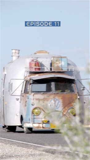 The armadillo in Joshua Tree National Park
