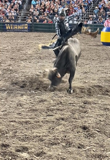 Chopped sum to win my first event back!🤘🏼 #winnerswin #cowboyballer #viral