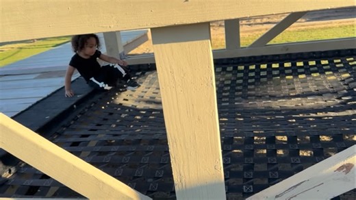 OBSTACLE COURSE # 2 - YOUNG SIRE👑 JUMPS CRAWLS AND SHOWS HOOD BALANCE. DELLOSSO FAMILY FARM IN LATHROP CALIFORNIA. #obstaclecourse #halloween #pumpkinpatch #farm #love | Will Smith