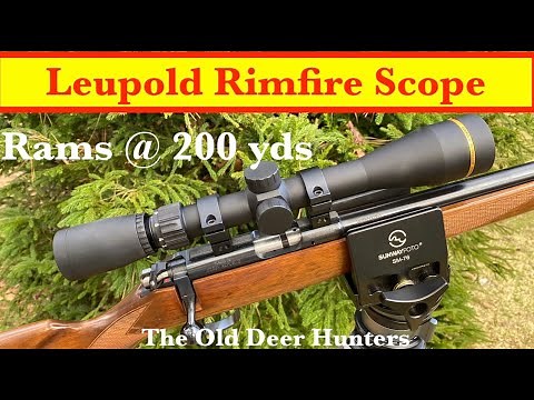 Leupold 3-9x40 Rimfire Scope | MOA Reticle Test