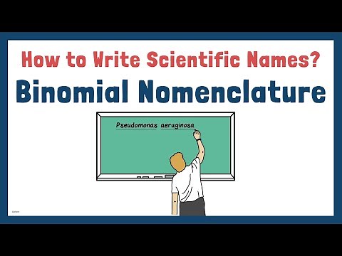 How to write Scientific Names | Binomial Nomenclature