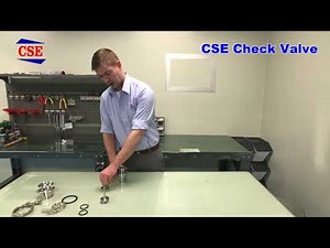 CSE Check Valves 逆止閥介紹