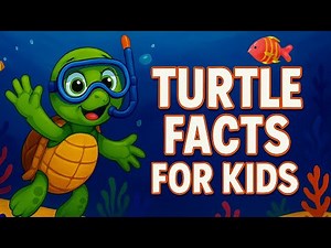 🐢Teach Toddlers & Preschool about Turtles with a Fun Turtle Song | Best Educational Video for Kids