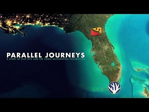 Parallel Journeys - A Story of Dive Rite and the Coral Restoration Foundation