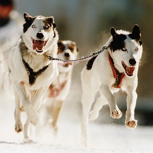 Building a Positive Team - Mindtools