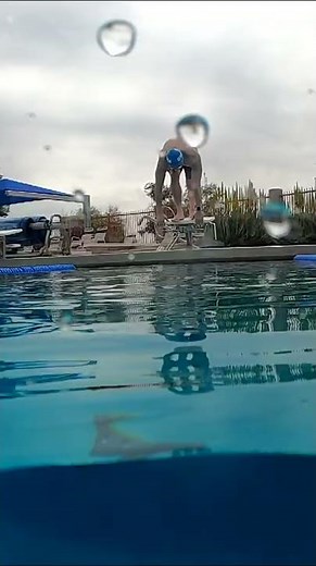 Learn to dive in 6 steps!