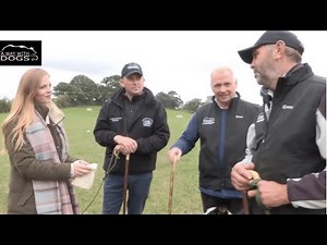 Sheepdog Trial - Group 4 - 'A Way with Dogs' - Series Two
