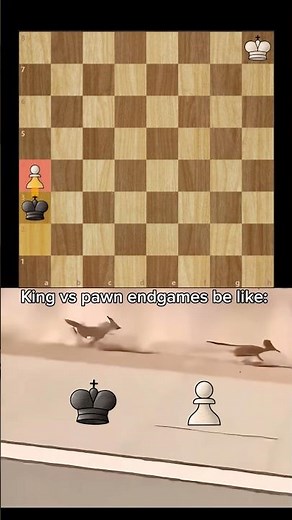 EPIC KING VS PAWN ENDGAME‼️#chess #chessgame #chessplayer