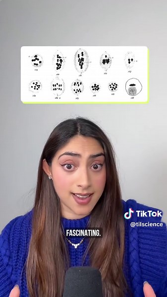 Men stealing women’s discoveries and inventions?? Groundbreaking. #womenshistorymonth #womeninstem #womeninscience #biology #genetics #science #edutok