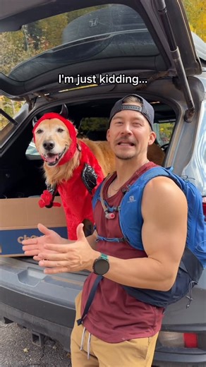 Chris & Nala | Imagine a forest filled with Nalas dressed as different creatures in costumes from @chewy?? Would you dare hike through it?? Check the link... | Instagram