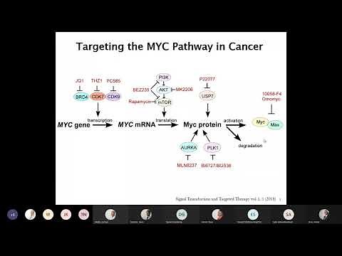Small Molecule MYC Inhibitors for Cancer Therapy