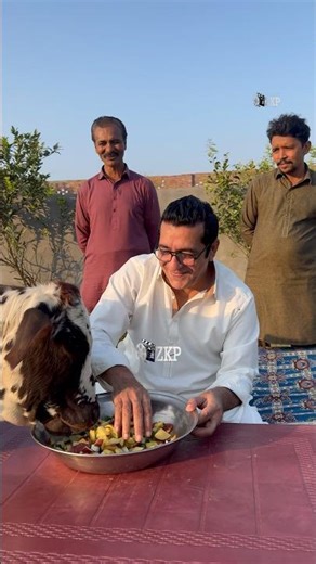 🍋🥒🥔 #zkp #youtubeshorts #shortvideo #short #viral #trendingshorts