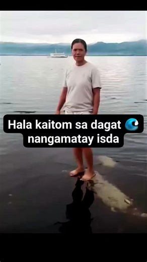 POND COLLAPSES FROM ETHANOL FACTORY CAUSES POLLUTION IN BAIS BAY Video courtesy of Lisa Cadalin | Snow Agravante