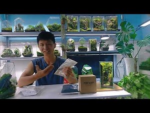 Basic order of substrate layers to set up a terrarium to live and grow well
