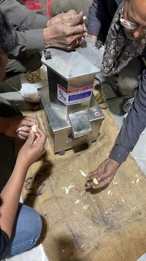 Garlic Peeling machine , Mini garlic peeling machine ☎️📲📞 91 90985 87992 | Punjab Engineering Corporation
