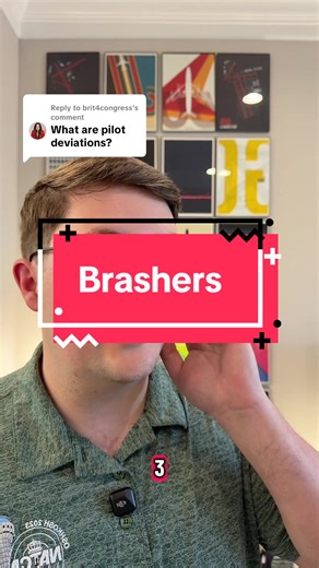 Understanding Possible Pilot Deviations in Aviation