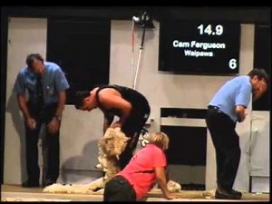 golden shears 2012 - Open Final.wmv