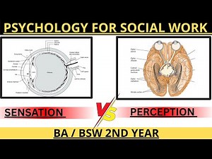 Sensation vs Perception | Psychology for Social Work (SW 423) | BA / BSW TU |