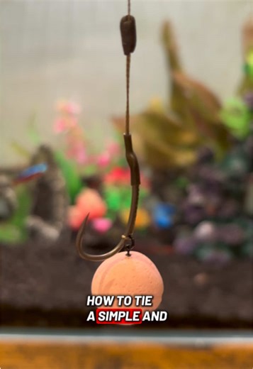 Essential Fishing Techniques for Beginners