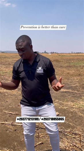 Prevention is better than cure. Get in touch with us for a professional termite inspection and treatment. Call/Whatsapp: 071 805 5065 / 263771213189 | Debris Fumigation