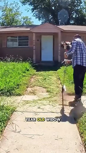 An ANGRY neighbor confronted me and called the police while I was cleaning up the yard, which led to this! #lawncare #lawnmowing #lawn#lawnmaintenance | Earth Trim Gardens