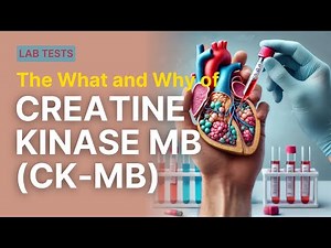 Creatine Kinase - MB | The What And Why Of | Lab Tests