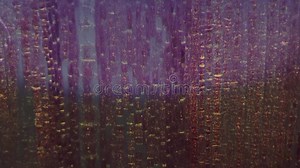 Longitudinal Section Cut of Root Tip of Plant Under the Microscope Magnified in 200 Times Stock Footage - Video of biological, agriculture: 253572440