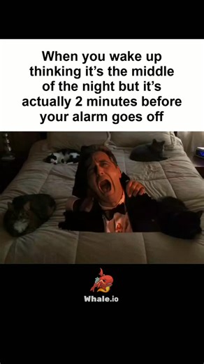 @obsmeme_ | Follow me for more elite memes 😎 | Instagram