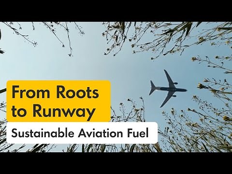What is Sustainable Aviation Fuel and how does it work?