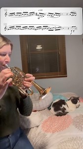 Mary Elizabeth Bowden practicing some piccolo trumpet-selection from Rene Orth’s Leaguered in Fire, Lagooned in Gold. 🎺😻🎺 . . . . . #trumpetlovers #trumpet #trumpets #trompeta #trompetas #trompete #trompetes #trumpetlife #trumpetwine #trumpetpractice #piccolotrumpet #piccolo #classicalmusic #great | Trumpet Lovers