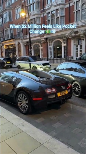 Bugatti Veyron – The Billionaire’s Daily Ride 💰🇫🇷