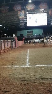 Ya comenzó la 4a Fase de #ExcelenciaCharra en la #BellaAirosa #Pachuca #EnriqueJimenez #TresPotrillos #CharreandoMagazine #MasCharroImposible #ModoCharreandoActitudMagazine | Charreando Magazine