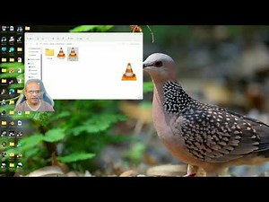 FREE 4K VIDEO EDITING (BLENDER) (4K UHD VIDEO) #blendertutorial #videoediting
