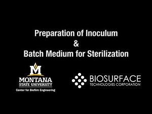 Chapter 11 Preparation of inoculum and batch media