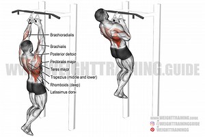 Close neutral grip pull-up exercise and video | Weight Training Guide
