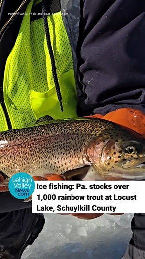 The Pennsylvania Fish and Boat Commission carried out one of its final trout stockings for the year at Locust Lake State Park in Schuylkill County. The commission said its peak weather for ice fishing opportunities across the state. #IceFishing #RainbowTrout #Fishing #Pennsylvania #WinterWeather | Lehighvalleynews.com