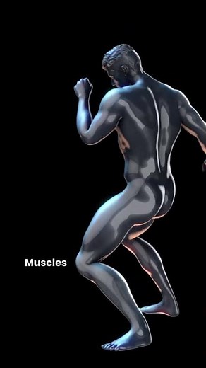 How Muscles Work Together: Agonist, Antagonist, Synergist & Stabilizer | Biomechanics in 60s