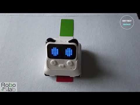 Codey Rocky - Using Sensors