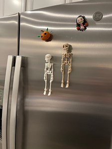 Flexi Skeleton Articulating 3D Print Customizable - Etsy